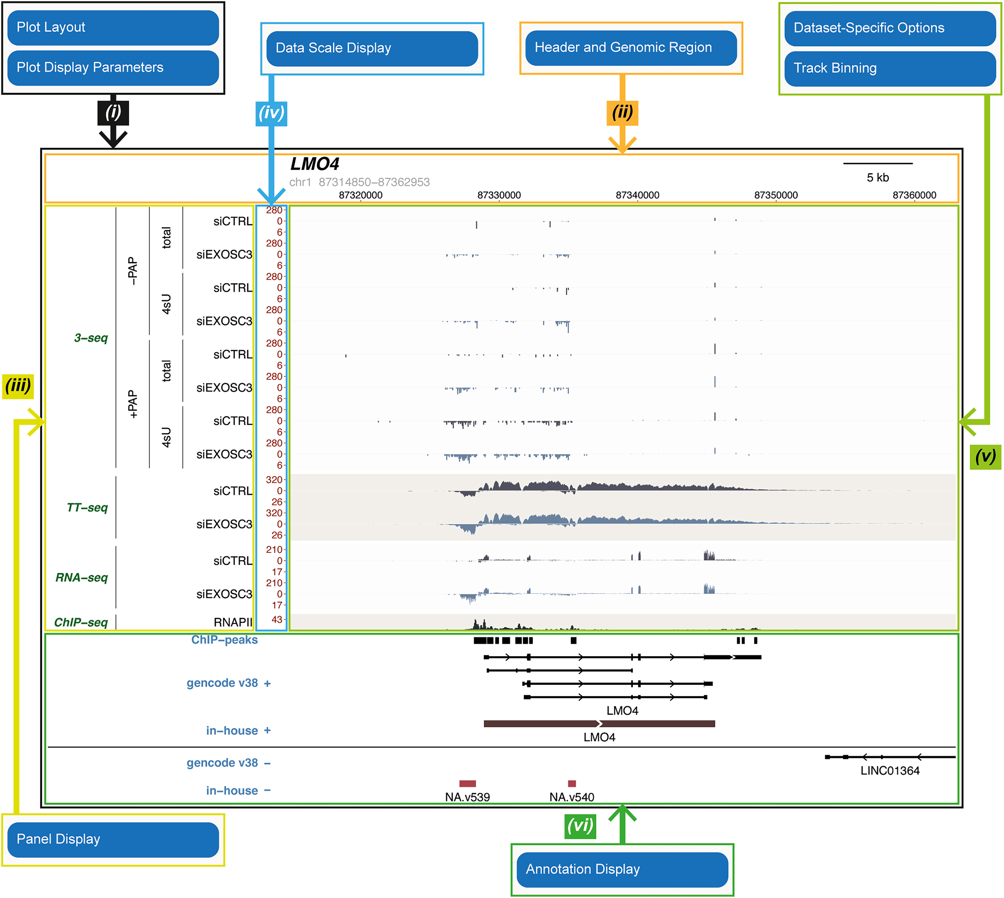 Cell Press: STAR Protocols