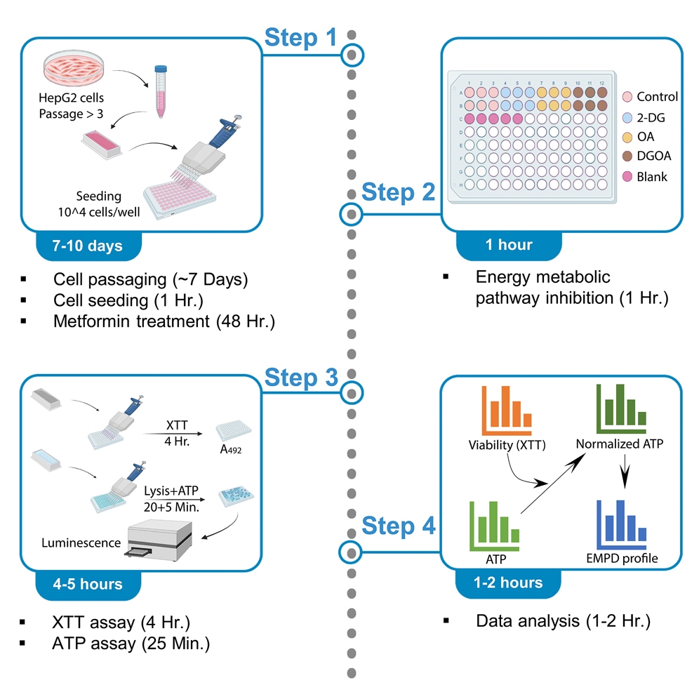 Cell Press: STAR Protocols