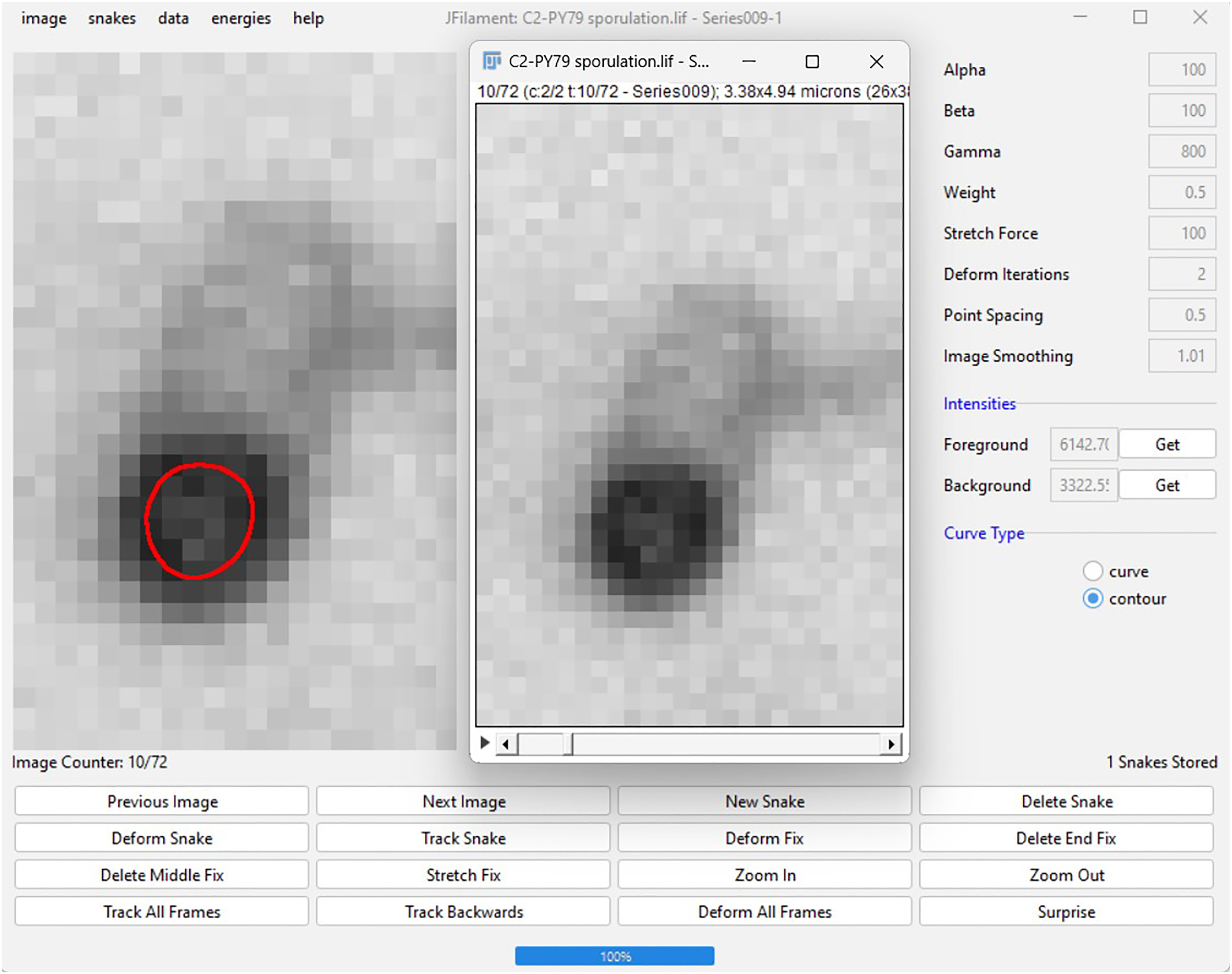 Cell Press: STAR Protocols