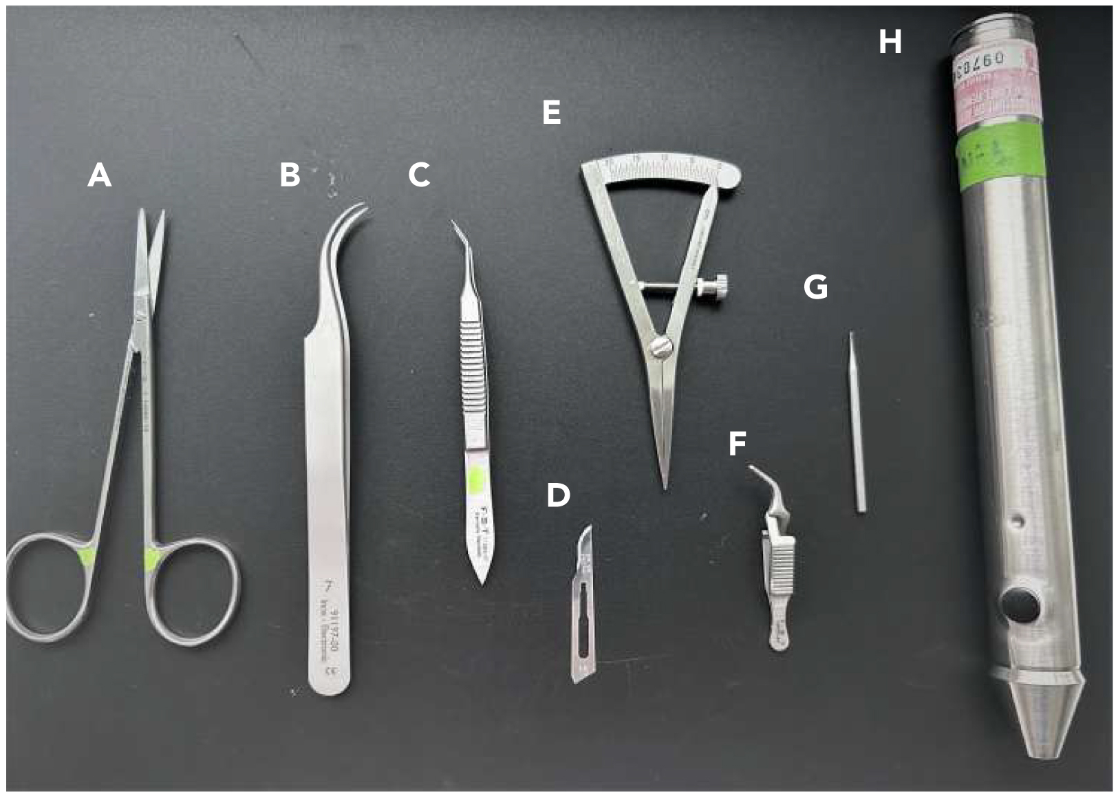 Cell Press: STAR Protocols