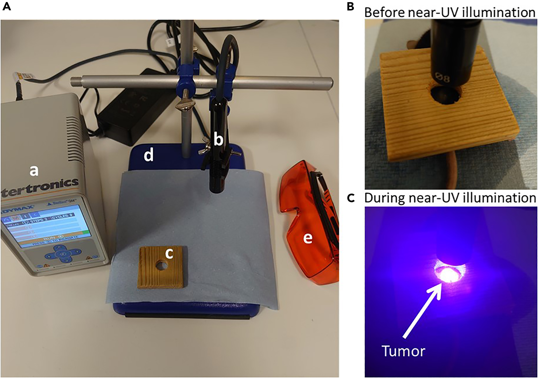 Cell Press: STAR Protocols