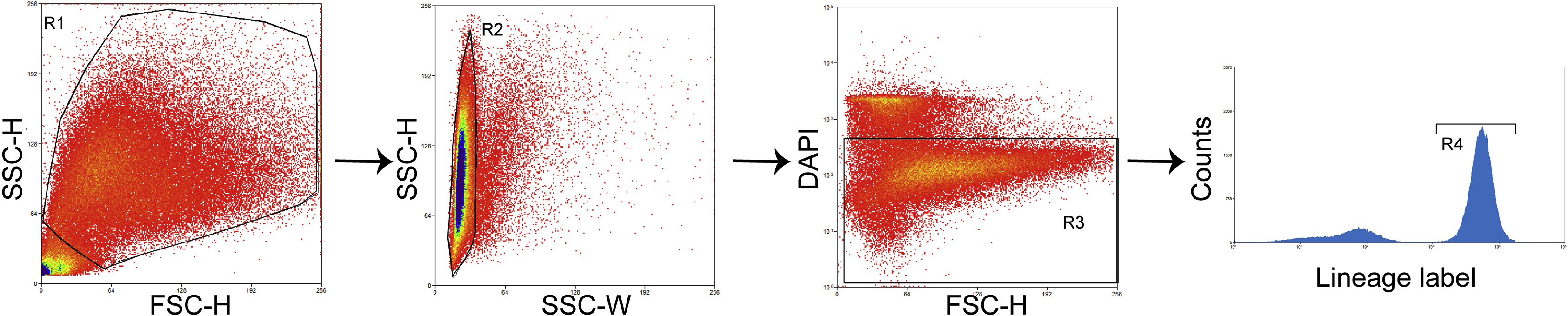 Cell Press: STAR Protocols