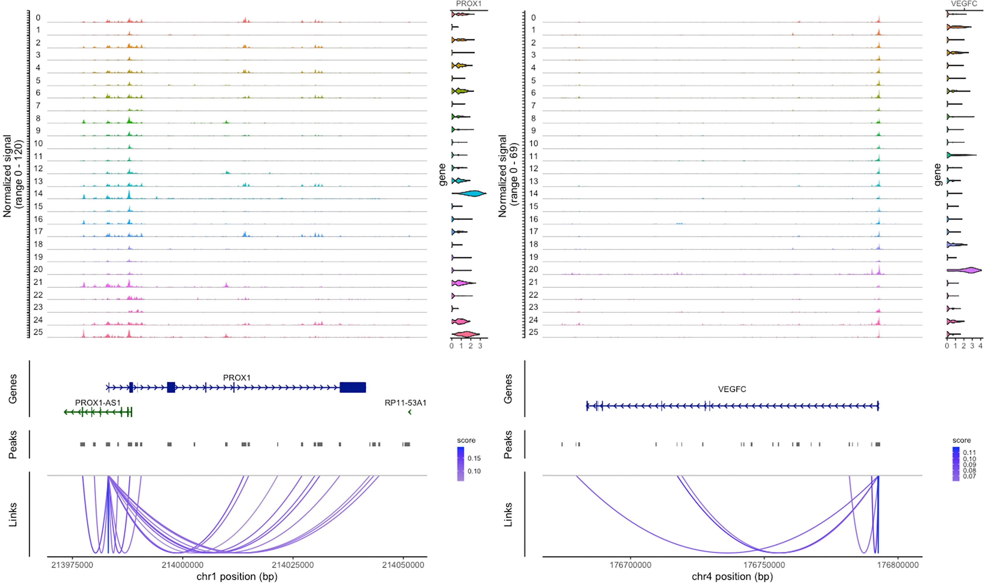 Cell Press: STAR Protocols