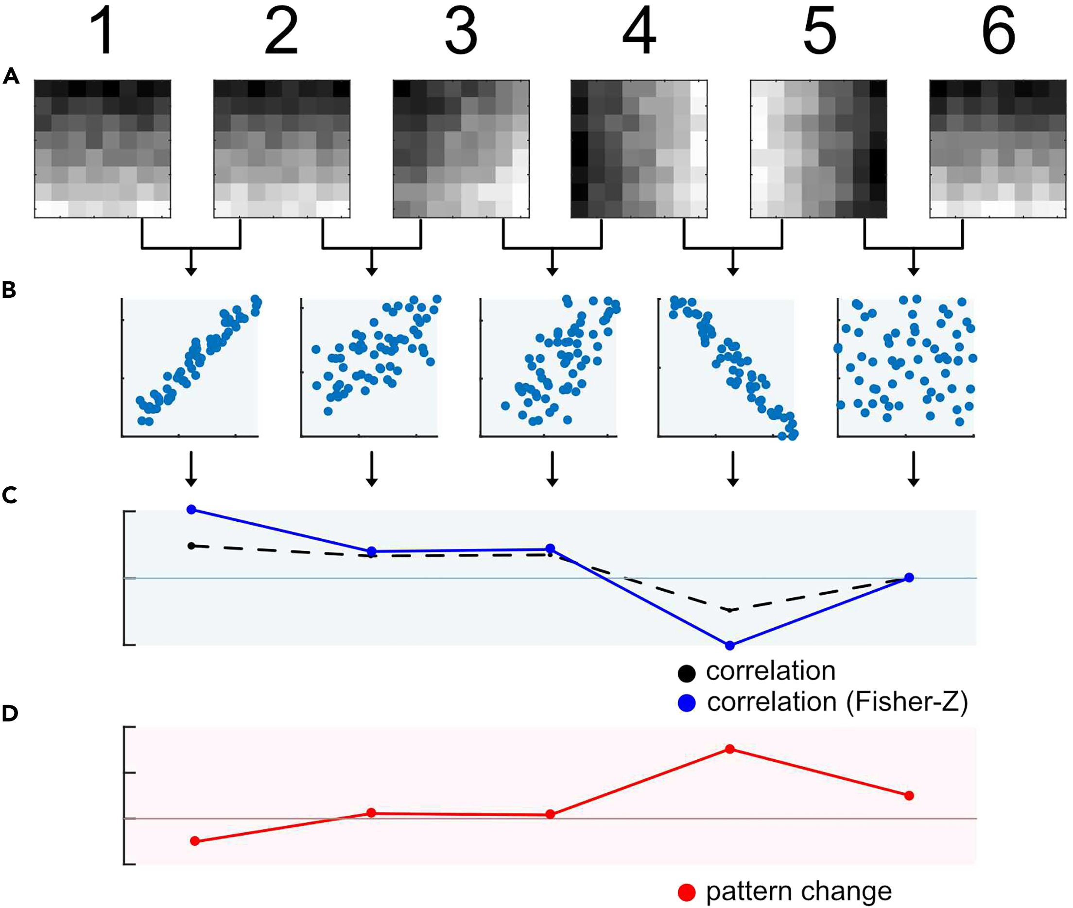 Cell Press: STAR Protocols