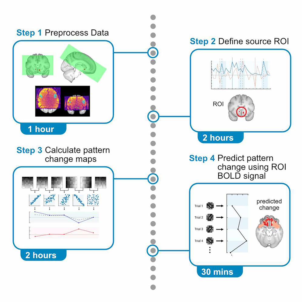 Cell Press: STAR Protocols
