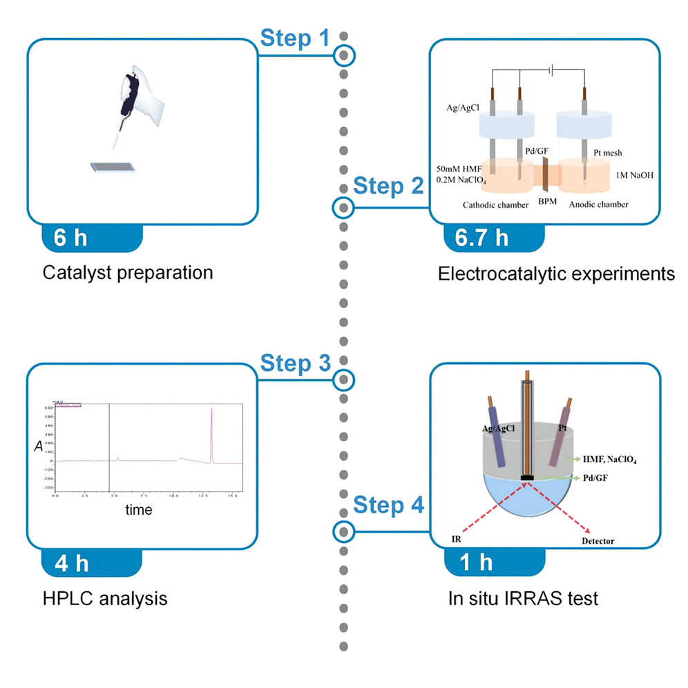 Cell Press: STAR Protocols