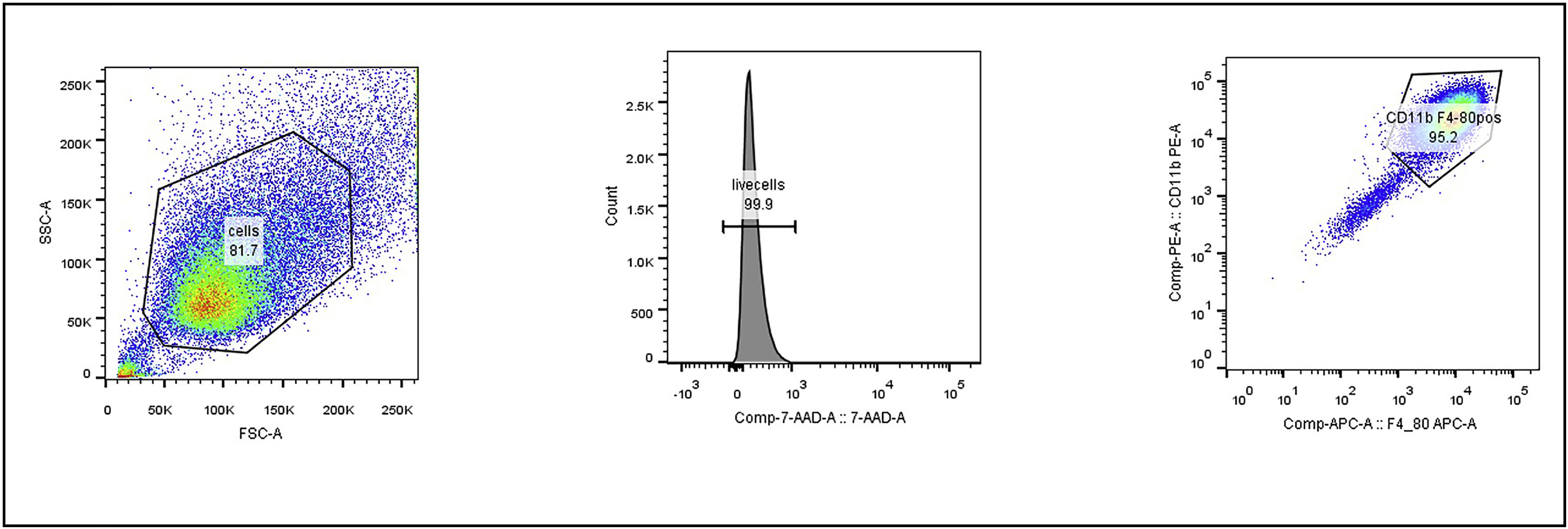 Cell Press: STAR Protocols