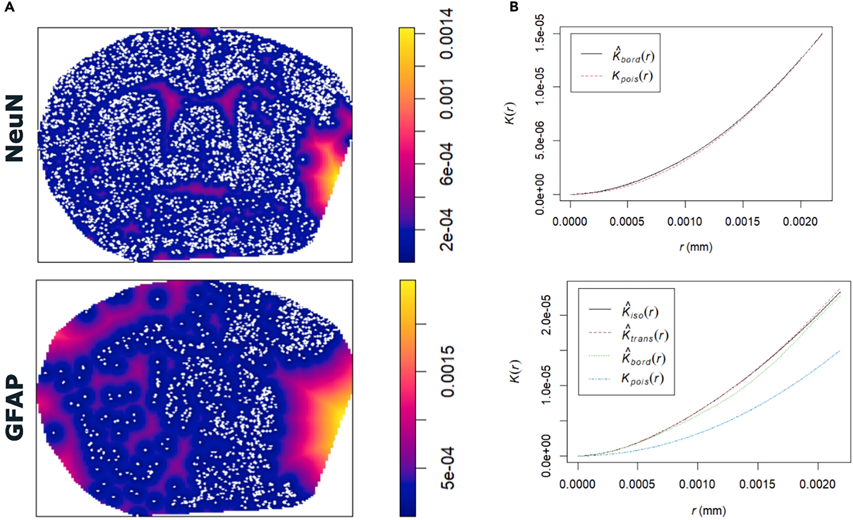 Cell Press: STAR Protocols