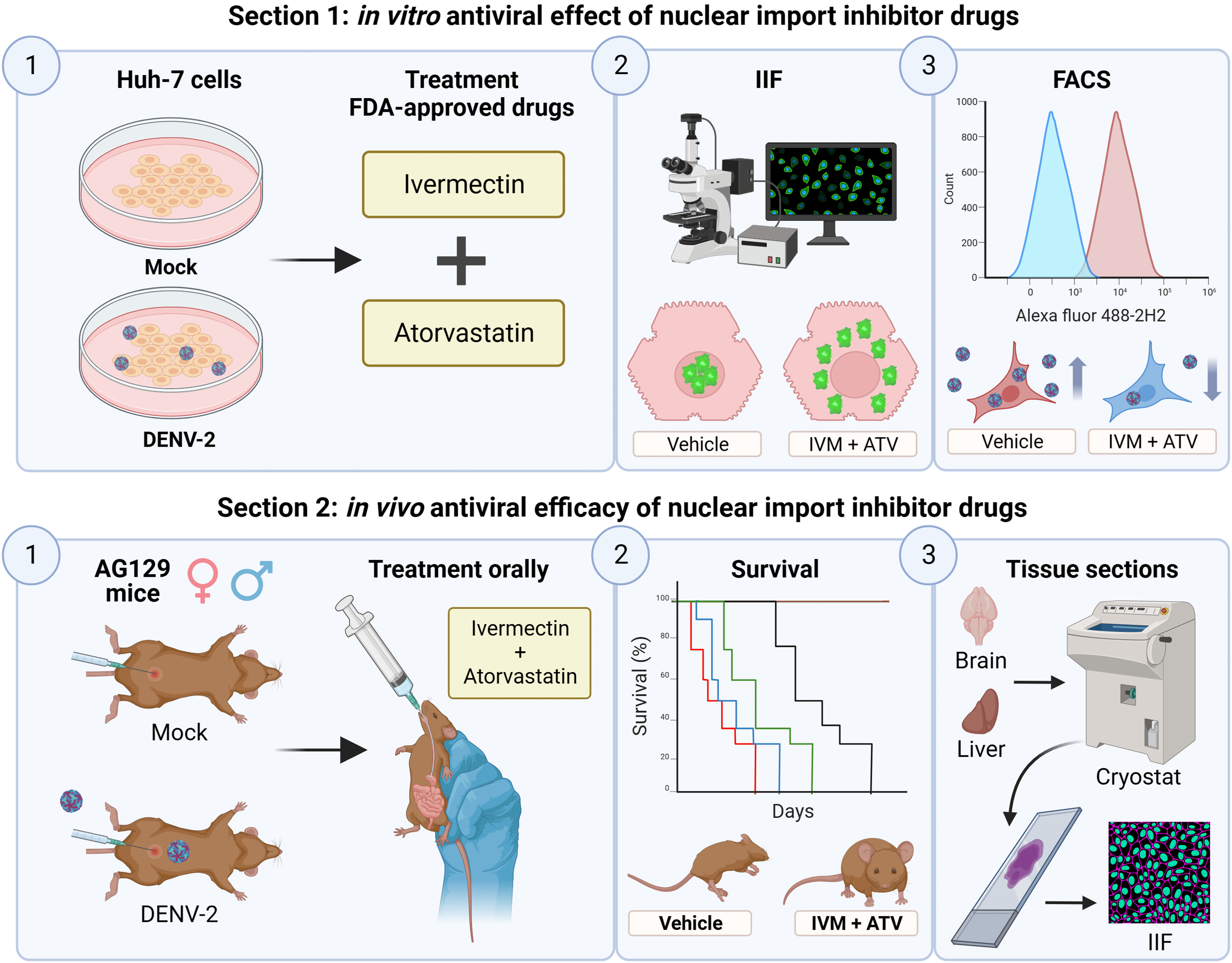 Cell Press: STAR Protocols