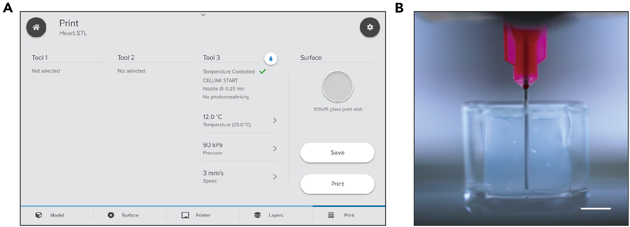 Cell Press: STAR Protocols
