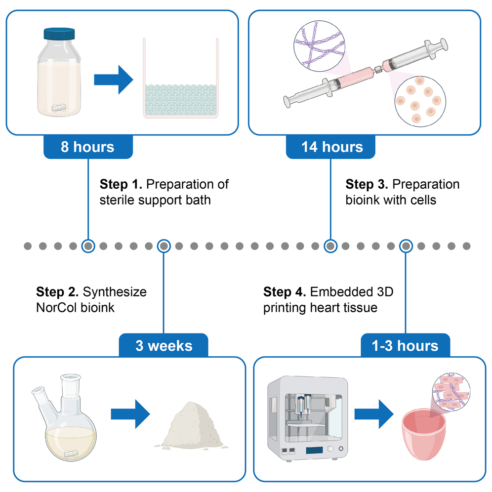Cell Press: STAR Protocols