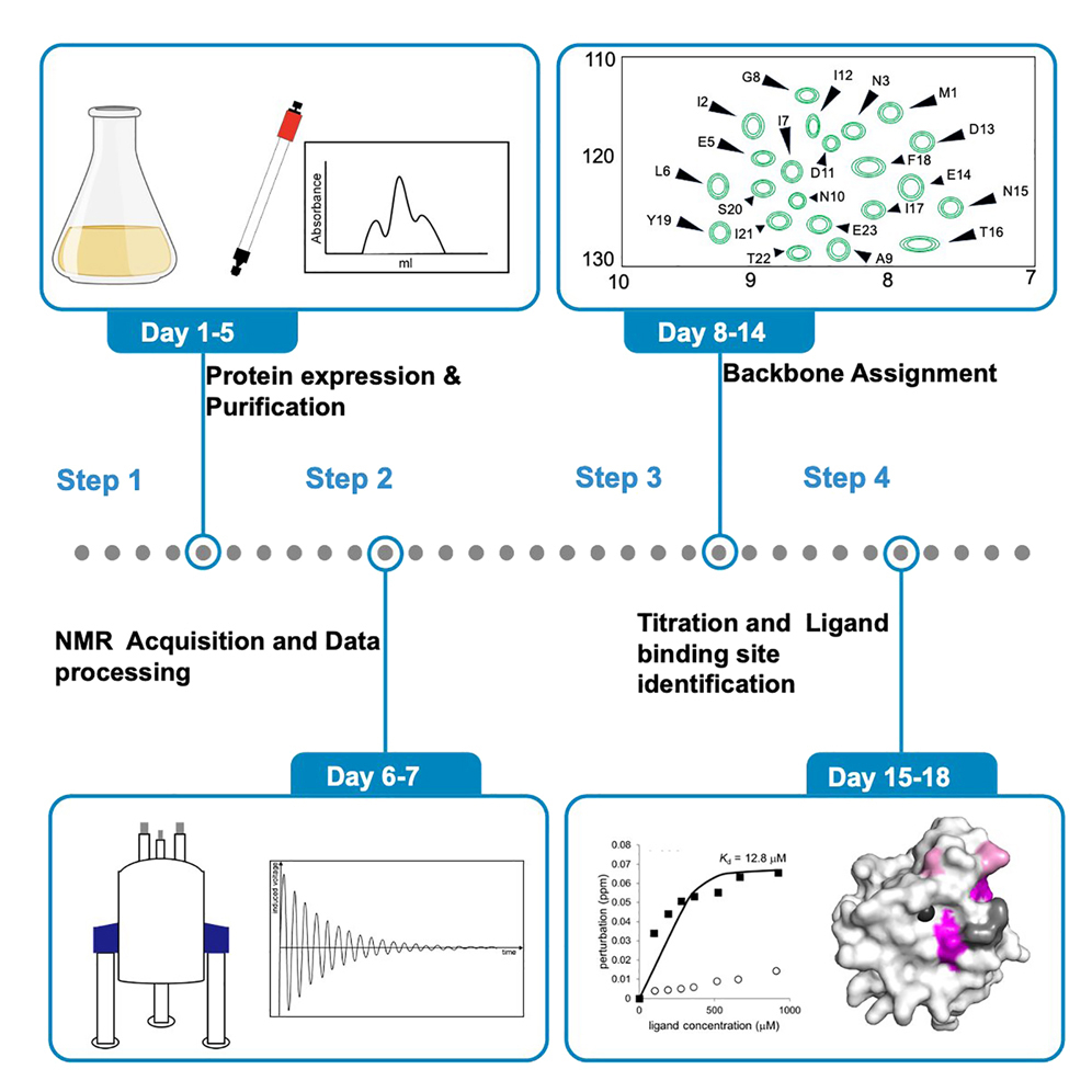 Cell Press: STAR Protocols