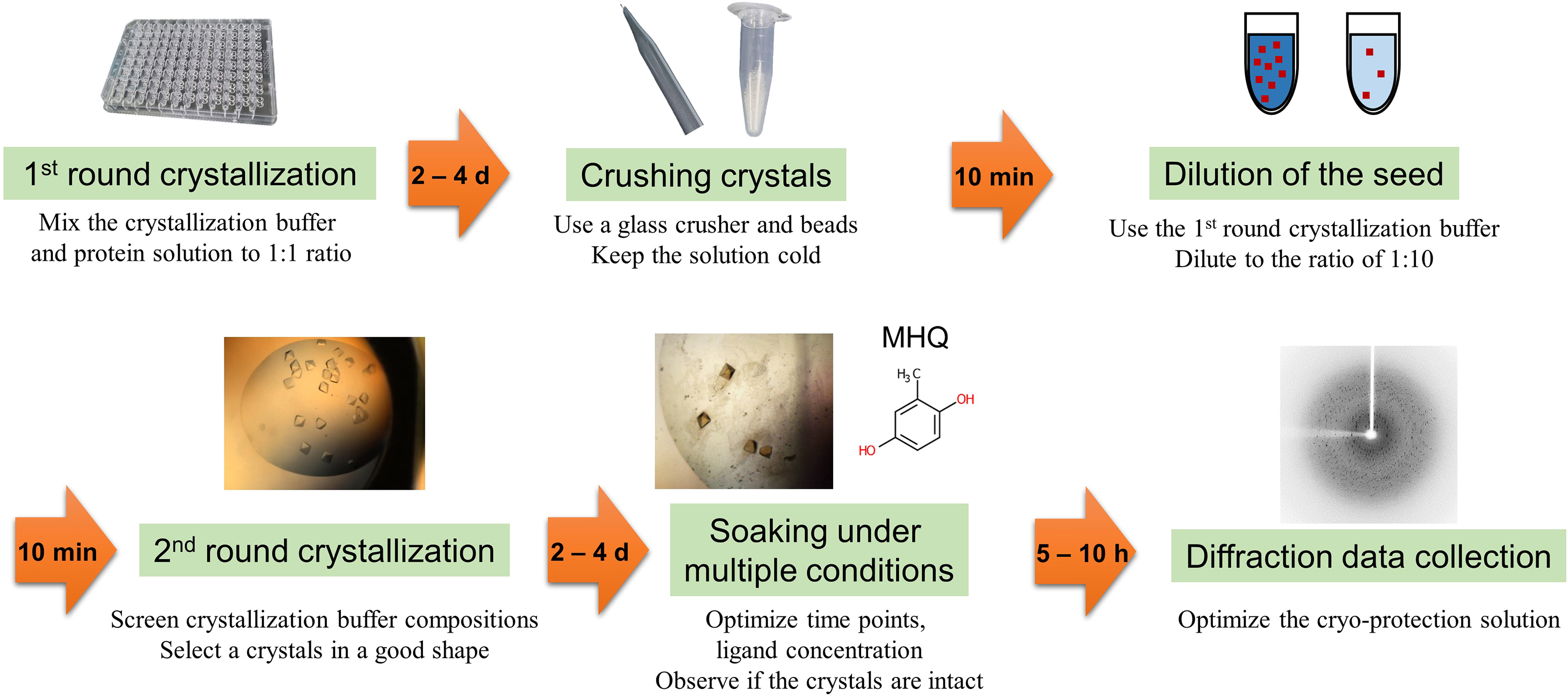 Cell Press: STAR Protocols