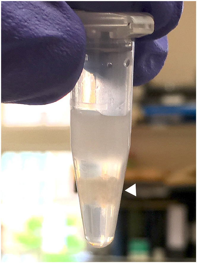 Cell Press: STAR Protocols