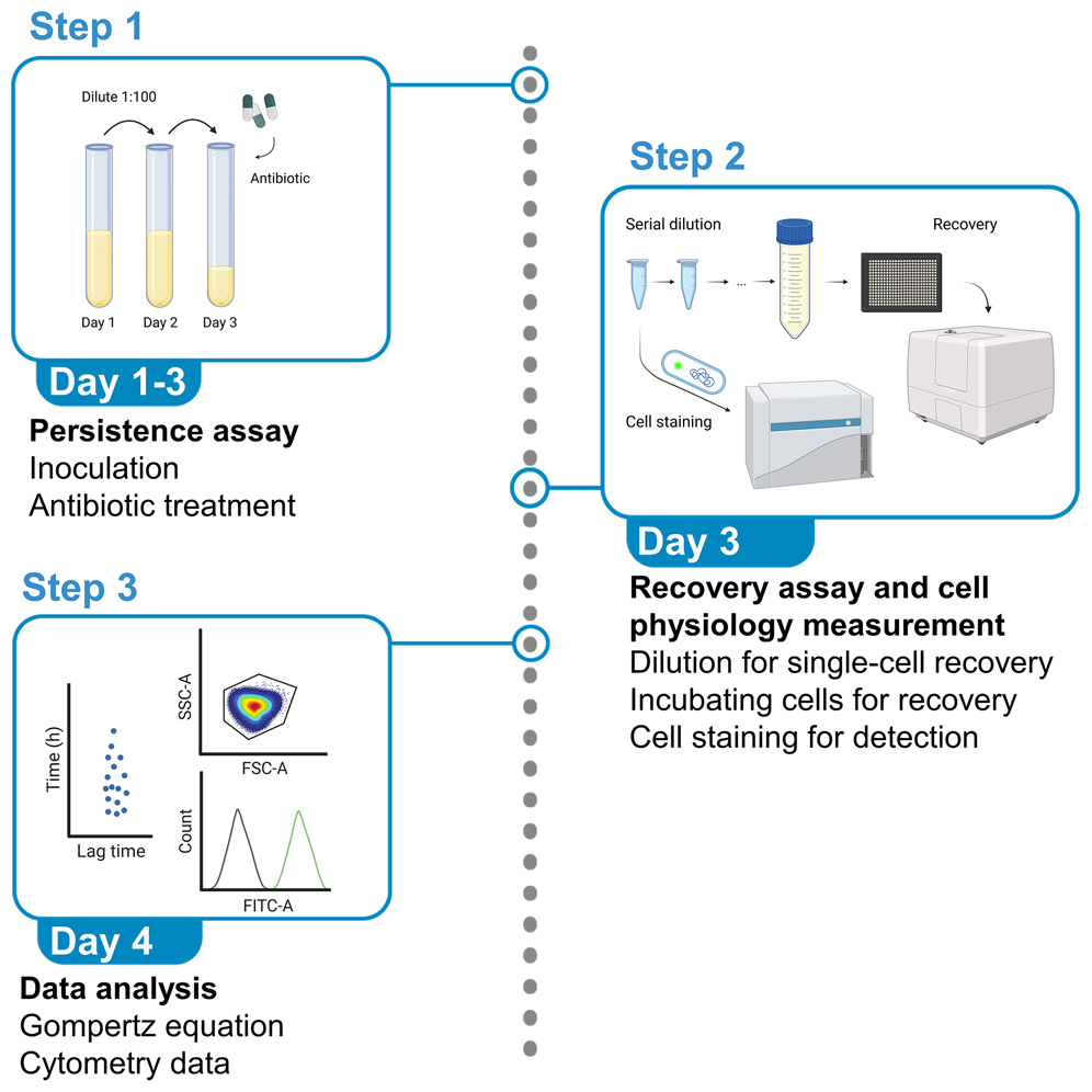 Cell Press: STAR Protocols
