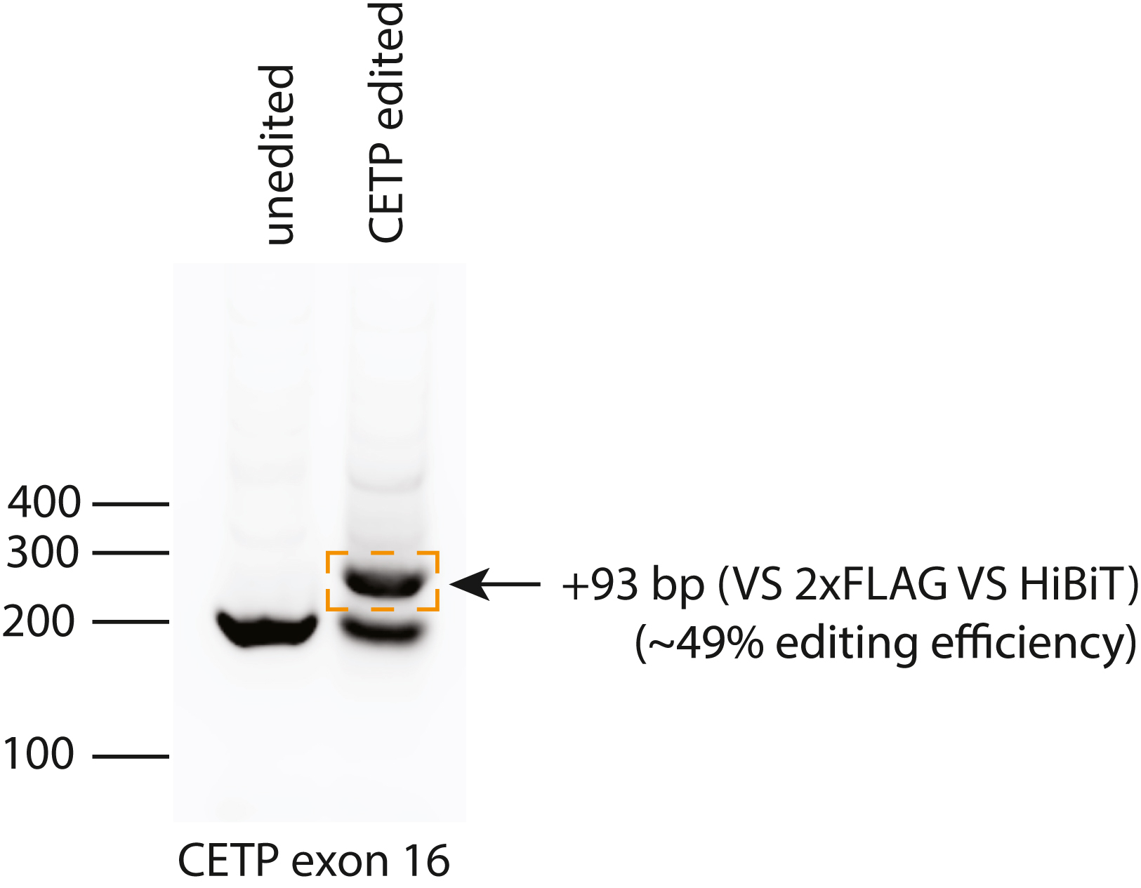 Cell Press: STAR Protocols