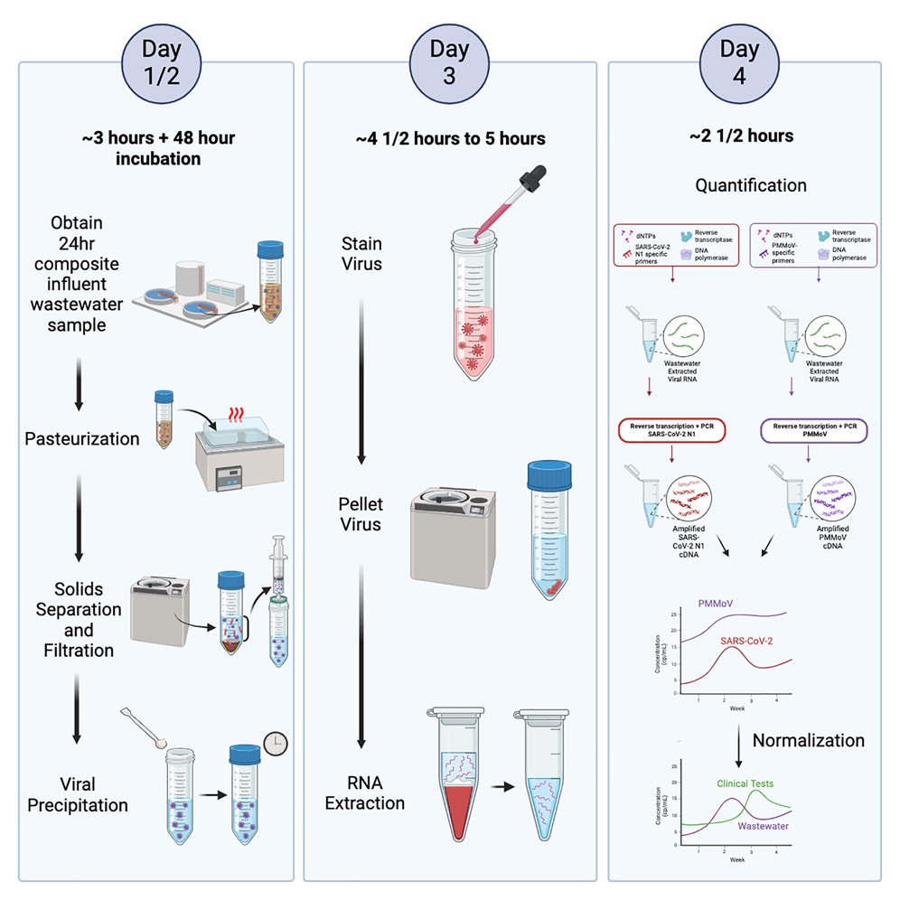 Cell Press: STAR Protocols