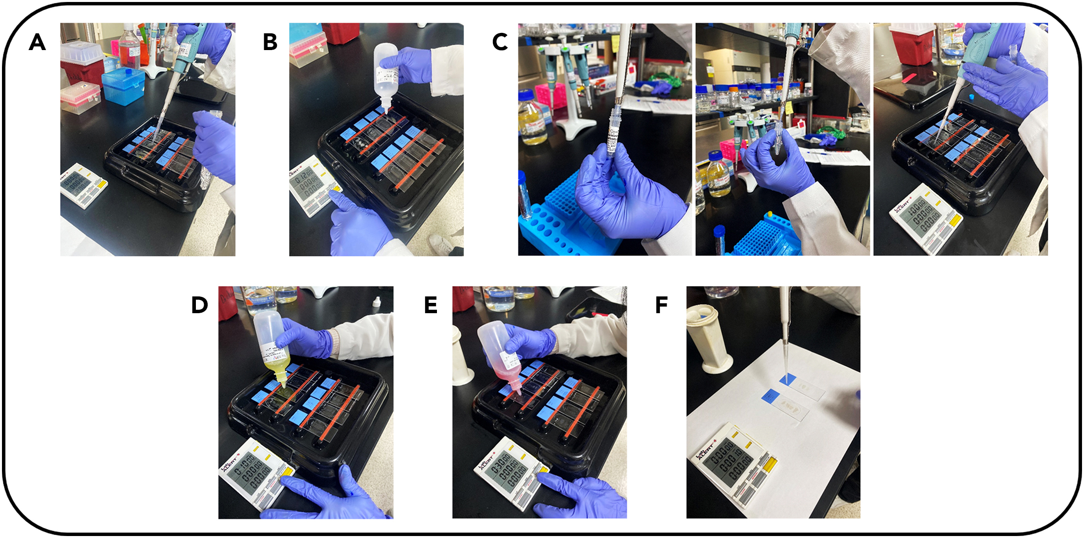 Cell Press: STAR Protocols
