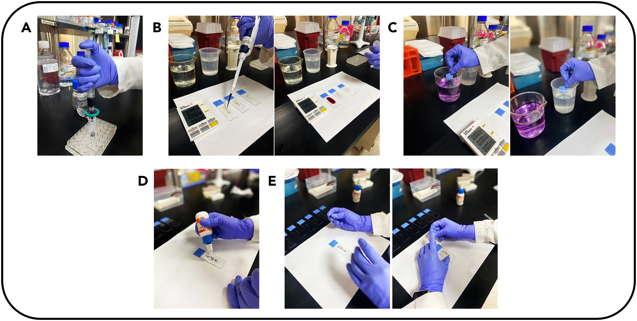 Cell Press: STAR Protocols