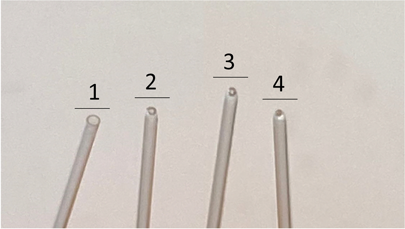 Cell Press: STAR Protocols