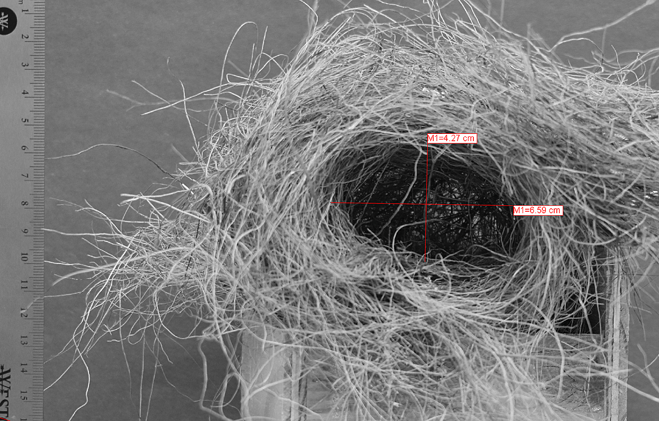 Cell Press: STAR Protocols