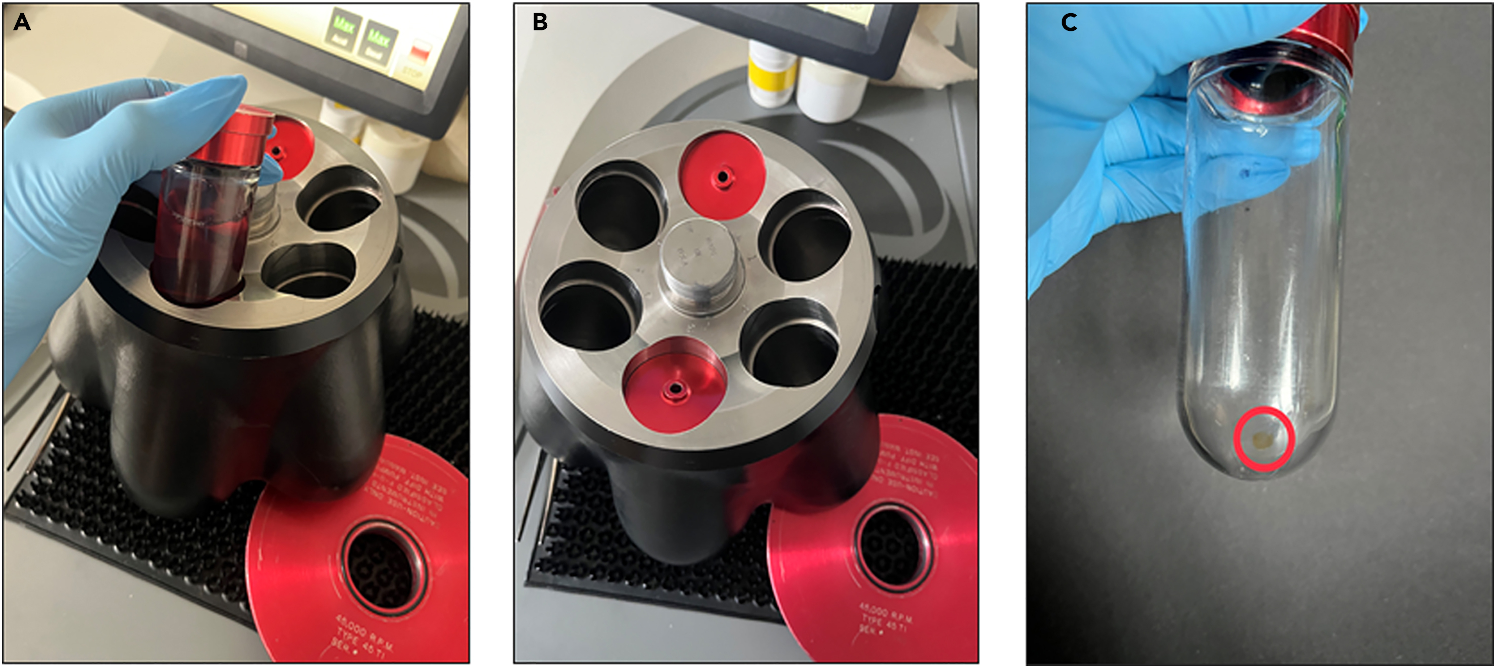Cell Press: STAR Protocols