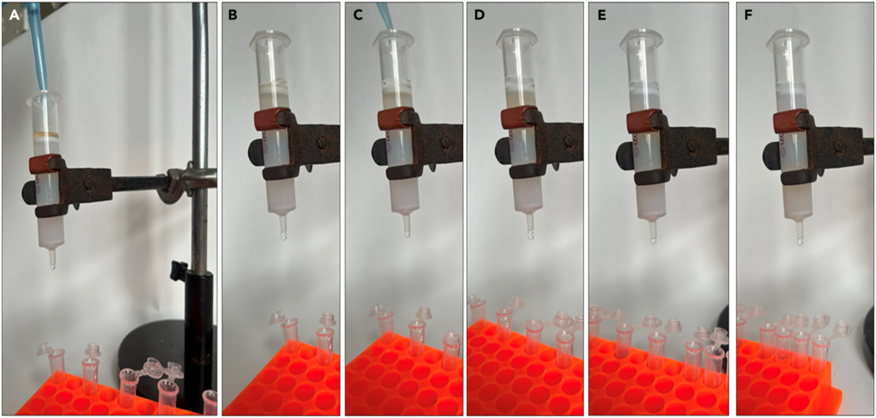 Cell Press: STAR Protocols