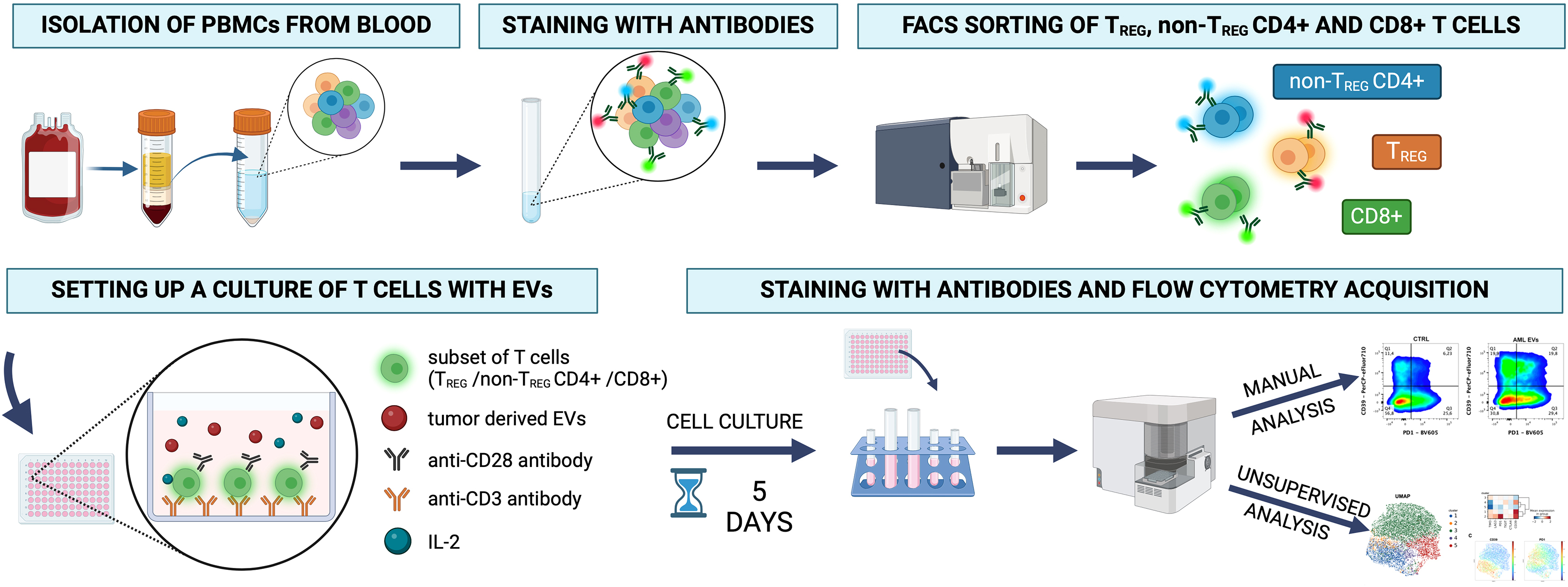Cell Press: STAR Protocols