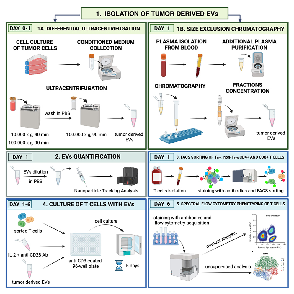 Cell Press: STAR Protocols