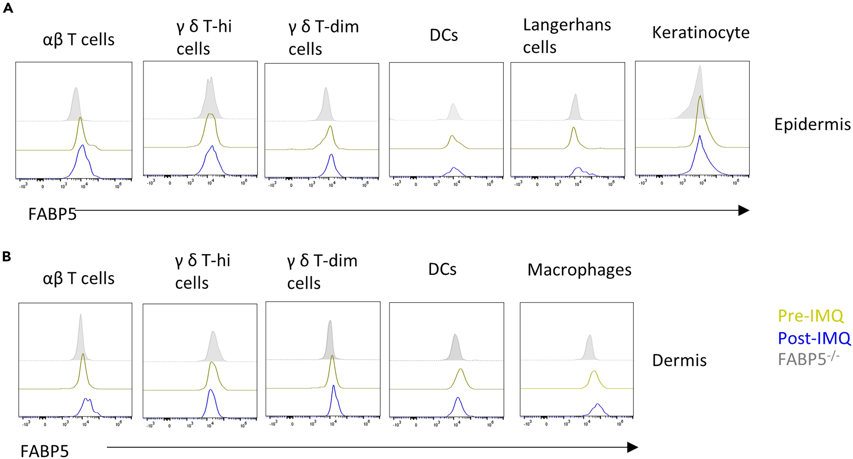 Cell Press: STAR Protocols