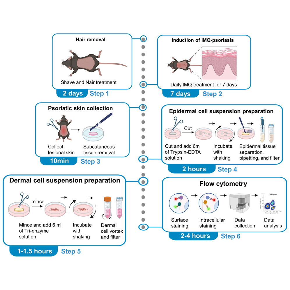 Cell Press: STAR Protocols