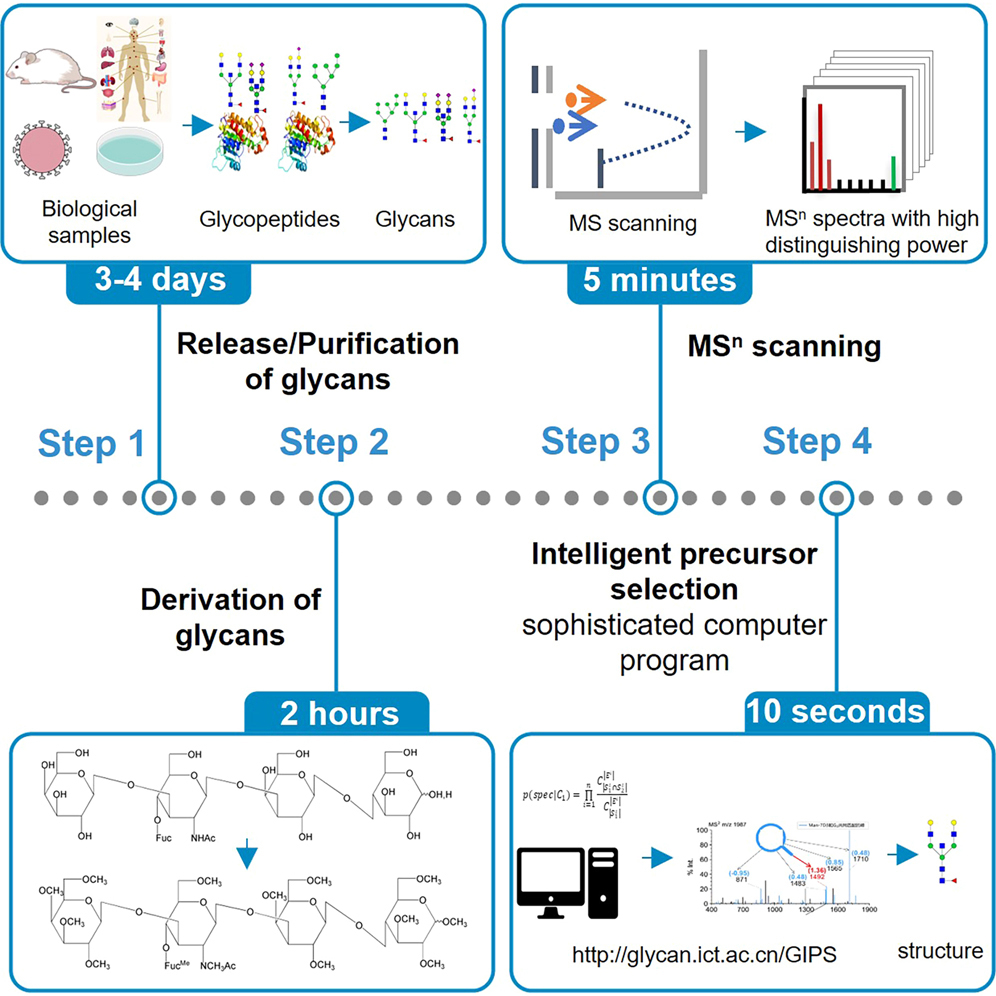 Cell Press: STAR Protocols