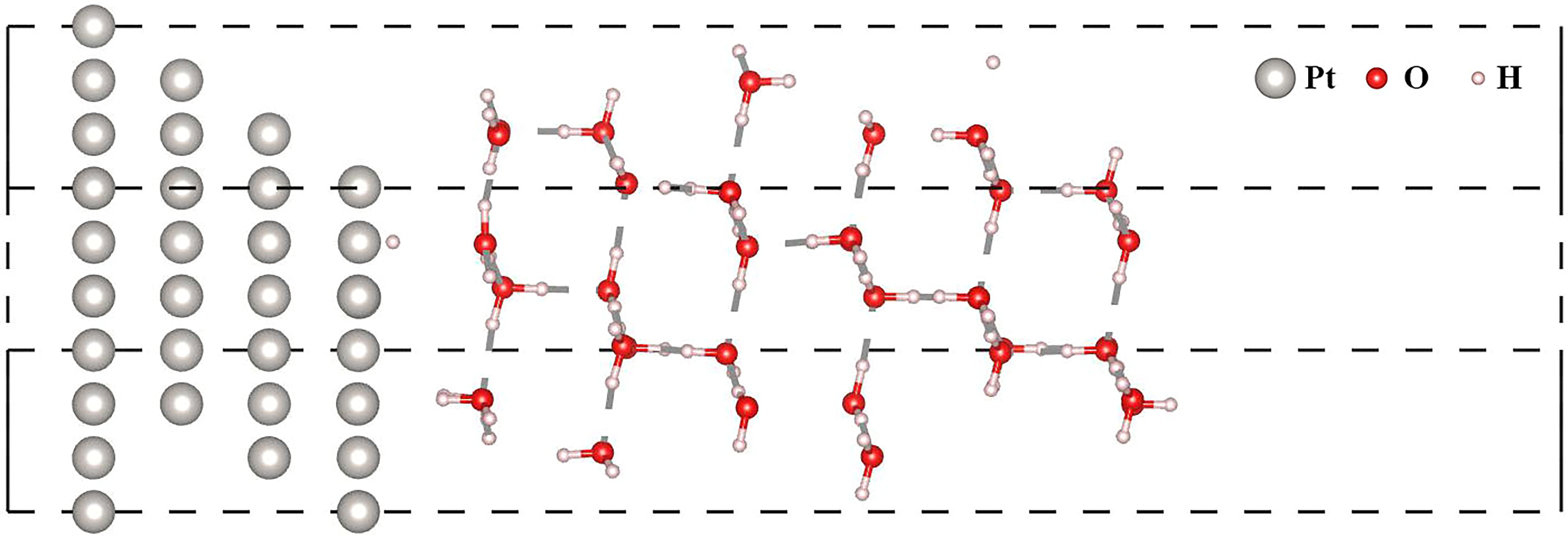 Cell Press: STAR Protocols