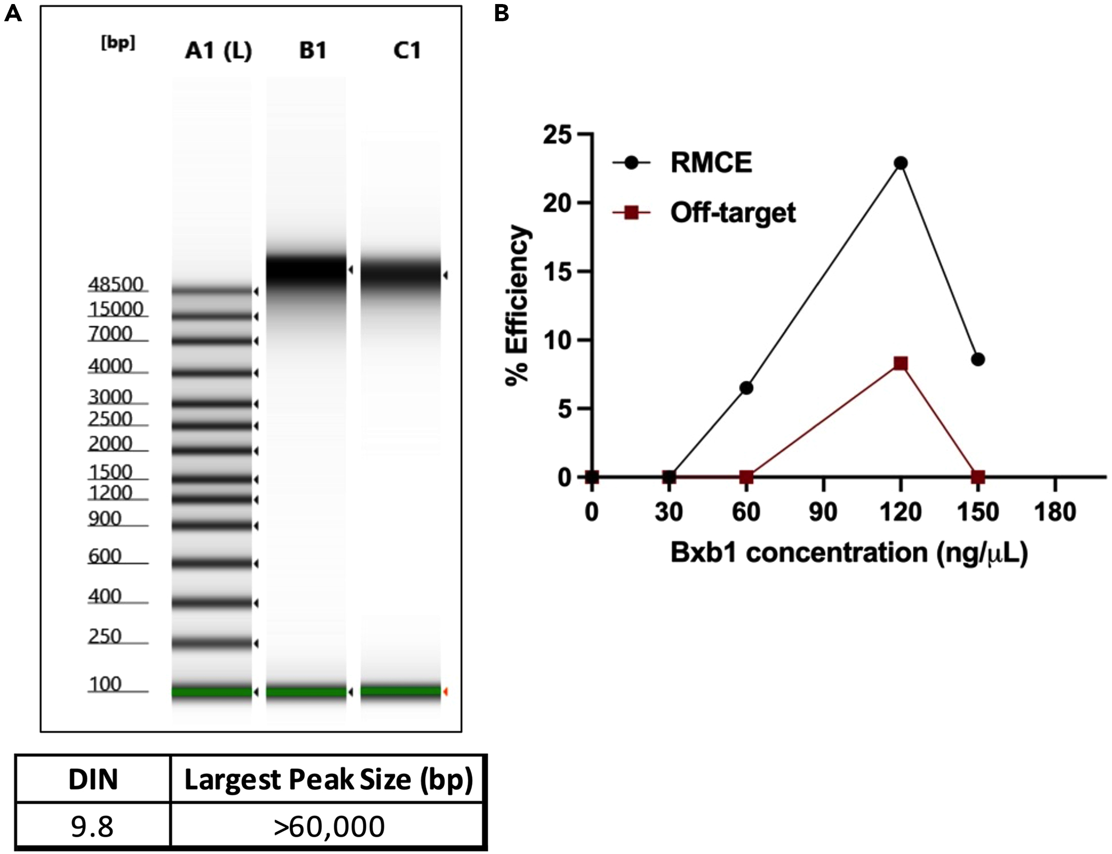Cell Press: STAR Protocols