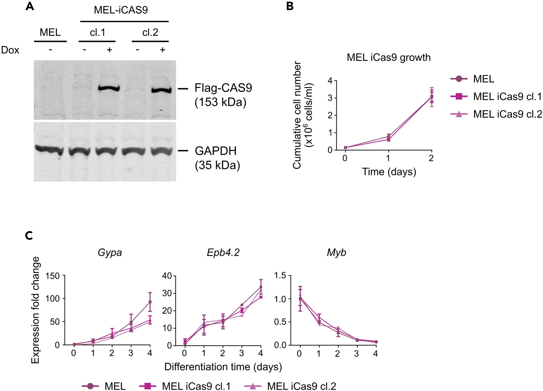 Cell Press: STAR Protocols