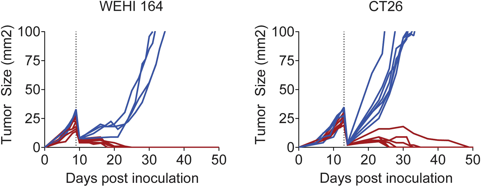 Cell Press: STAR Protocols
