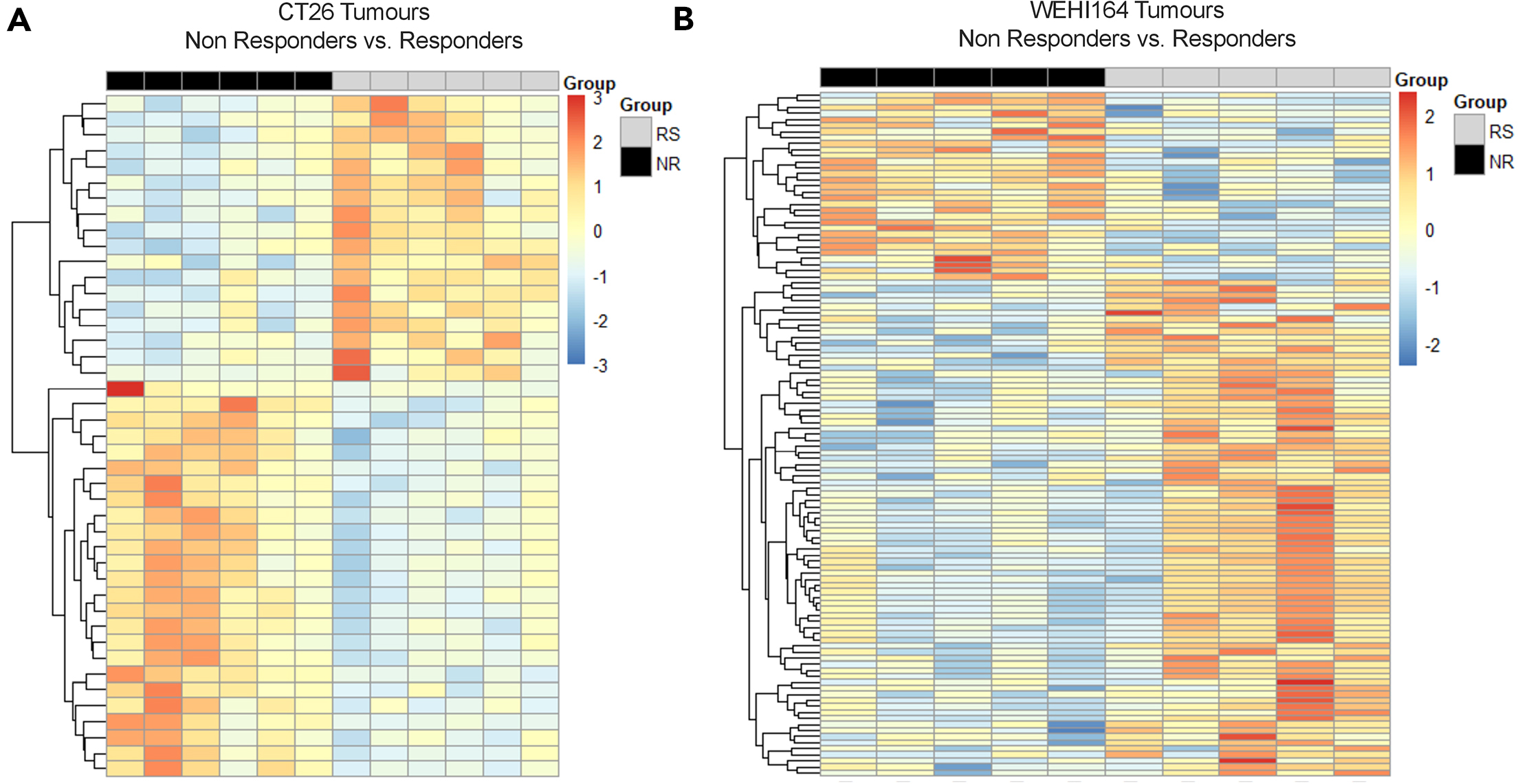 Cell Press: STAR Protocols
