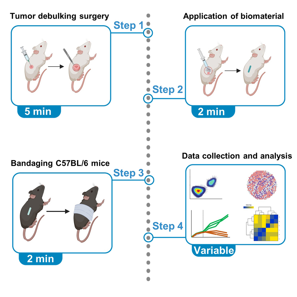 Cell Press: STAR Protocols