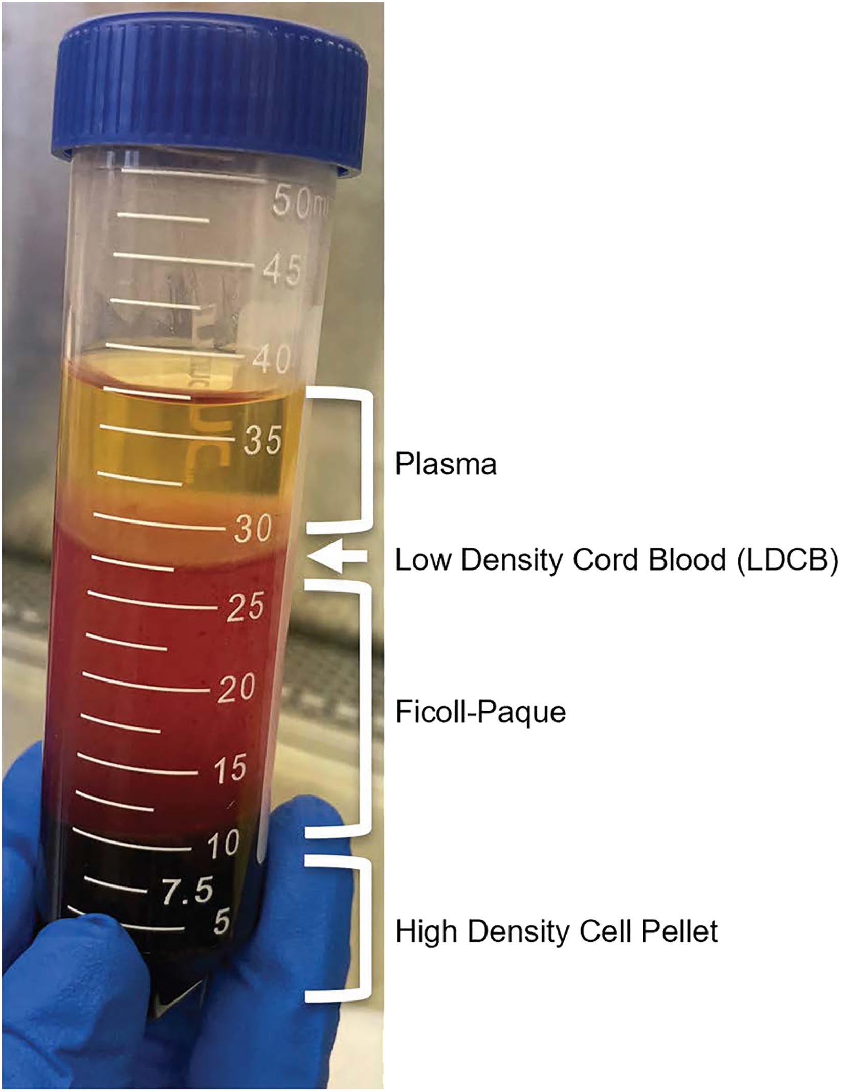 Cell Press: STAR Protocols