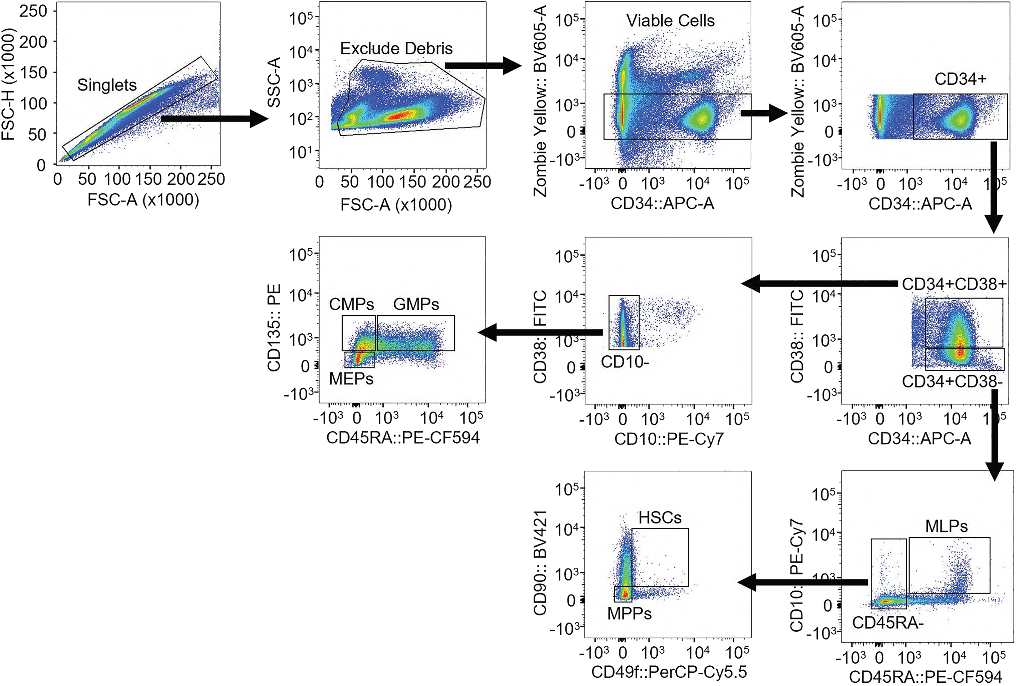Cell Press: STAR Protocols