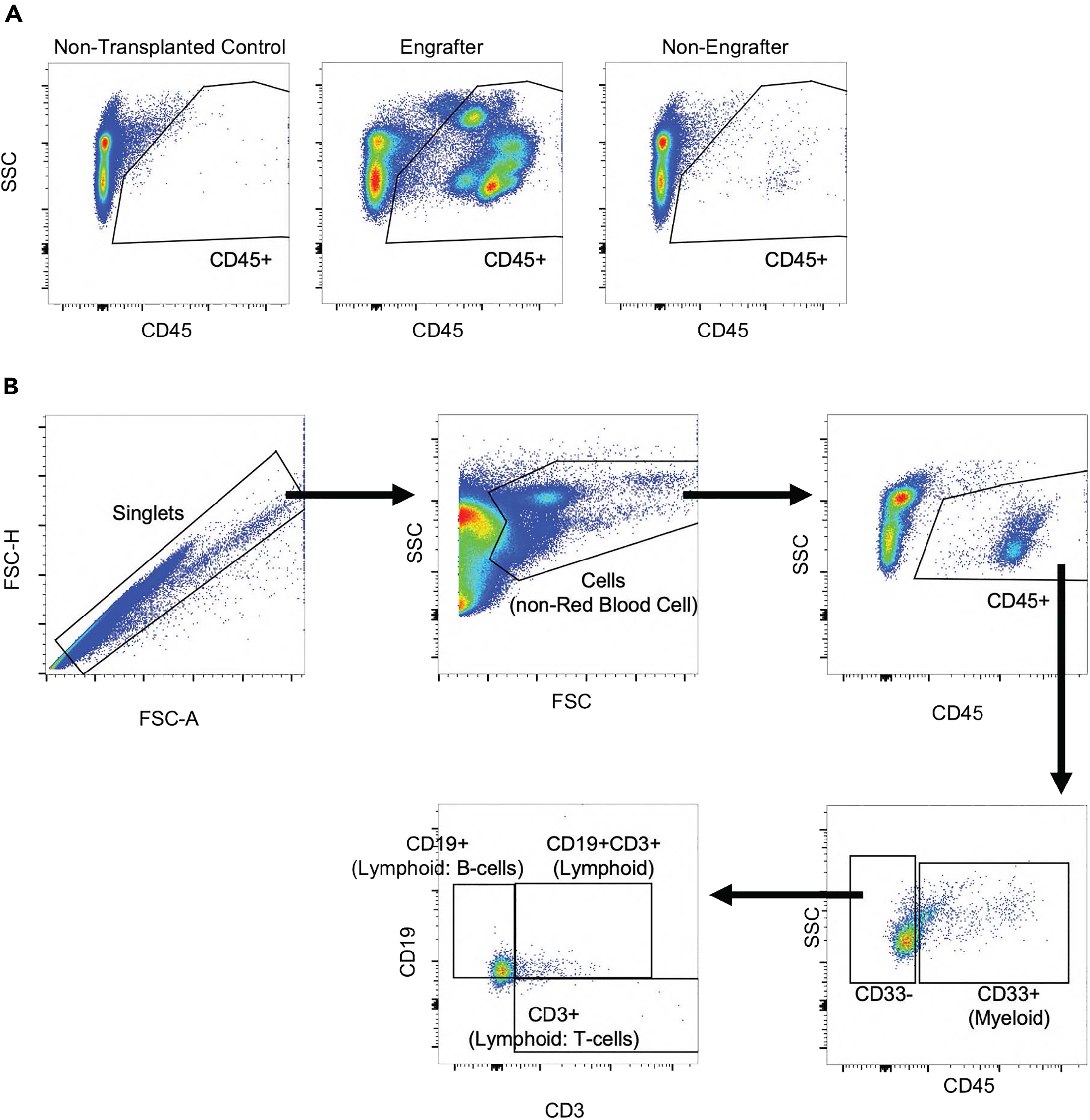 Cell Press: STAR Protocols