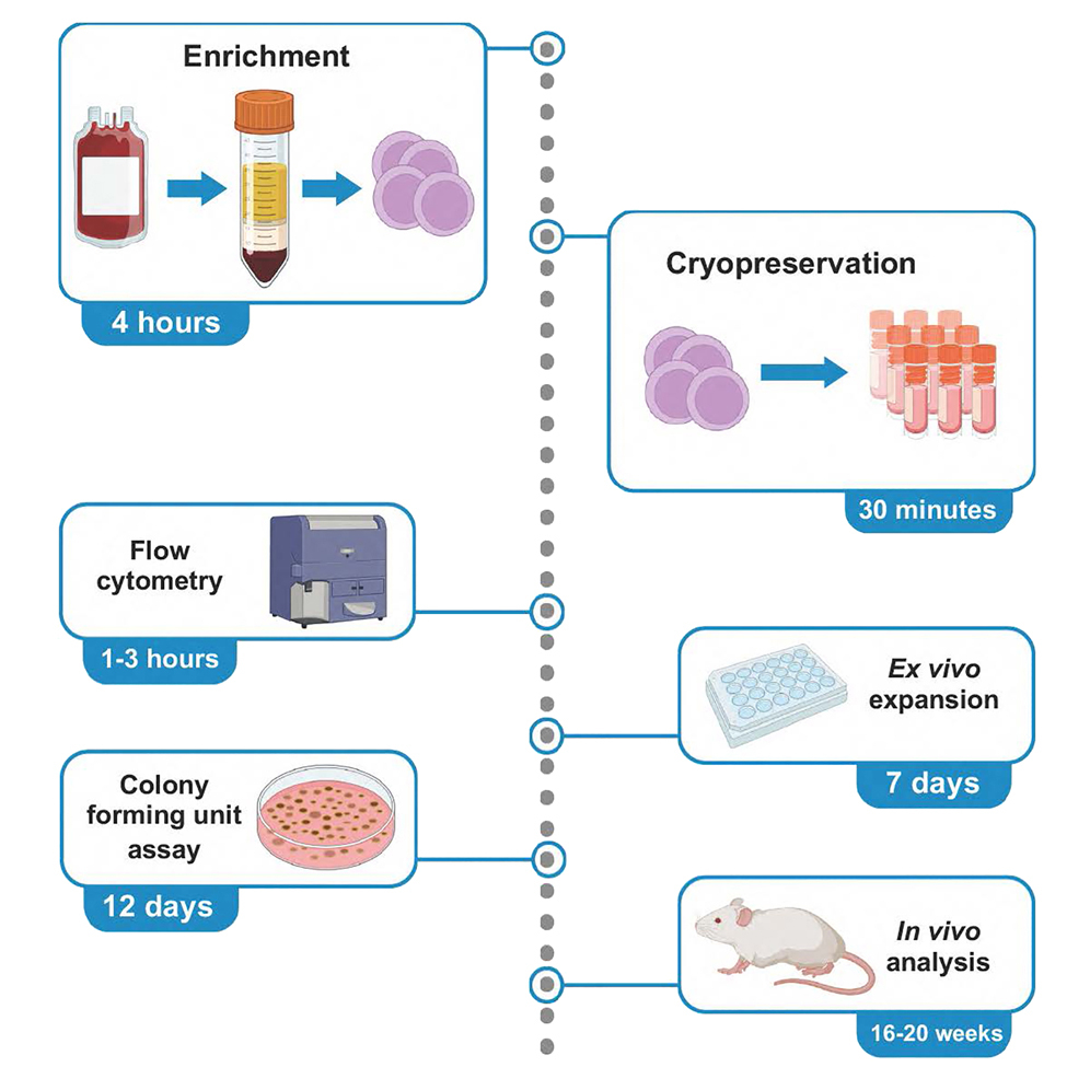 Cell Press: STAR Protocols