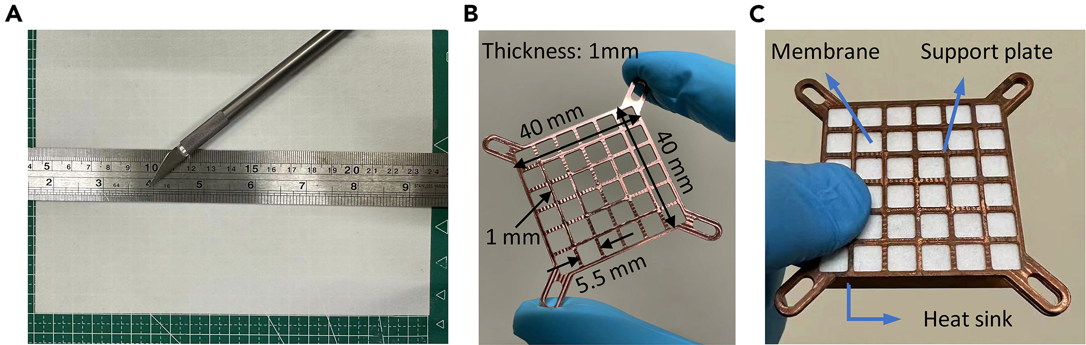 Cell Press: STAR Protocols