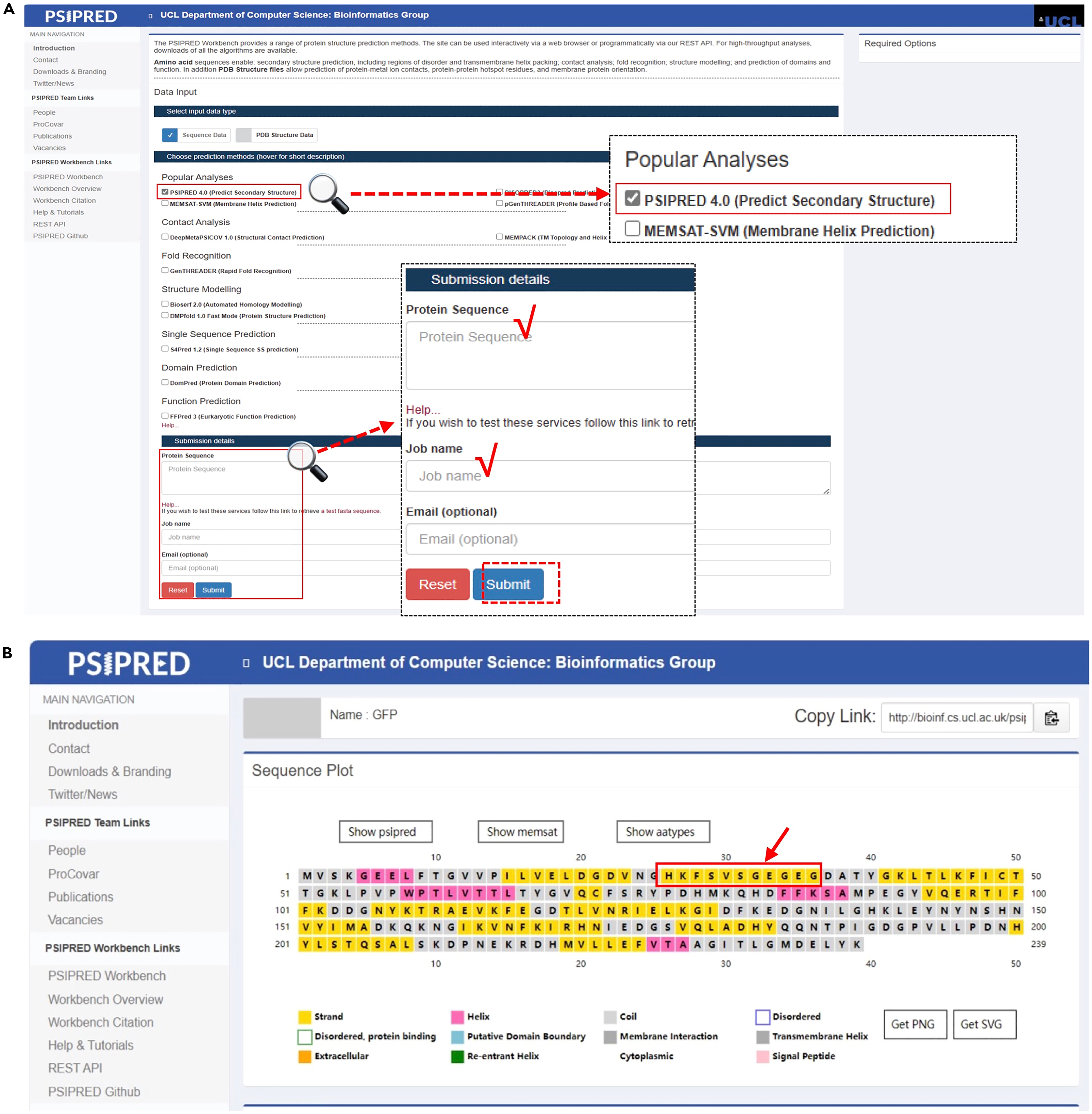 Cell Press: STAR Protocols
