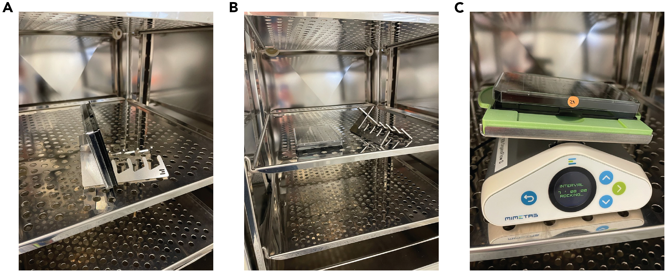 Cell Press: STAR Protocols