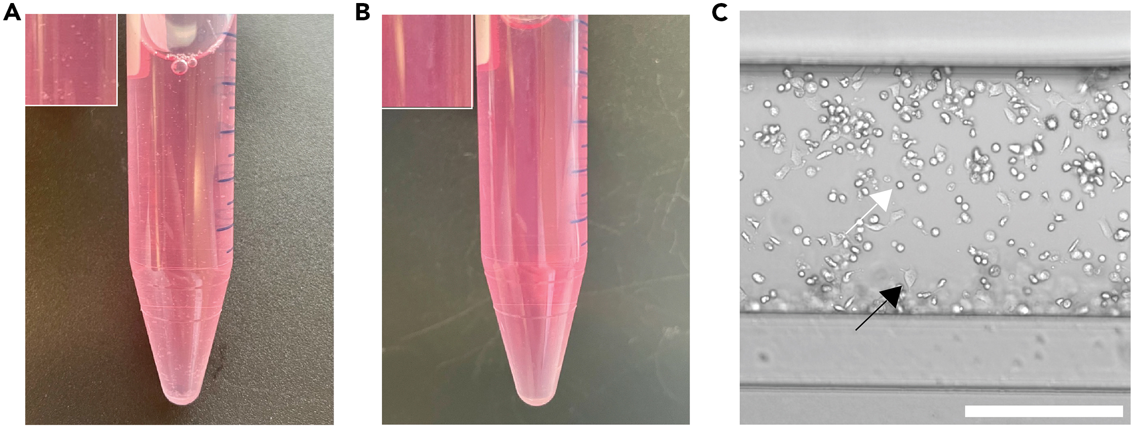 Cell Press: STAR Protocols