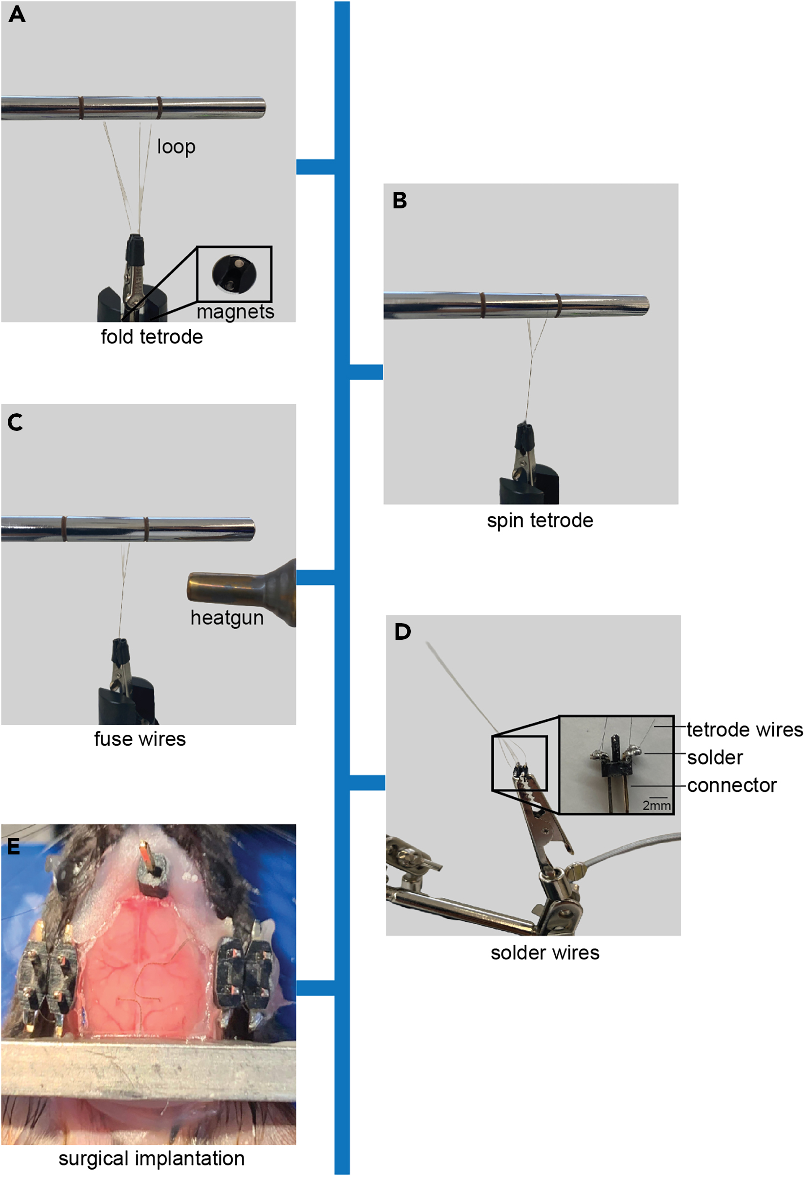 Cell Press: STAR Protocols