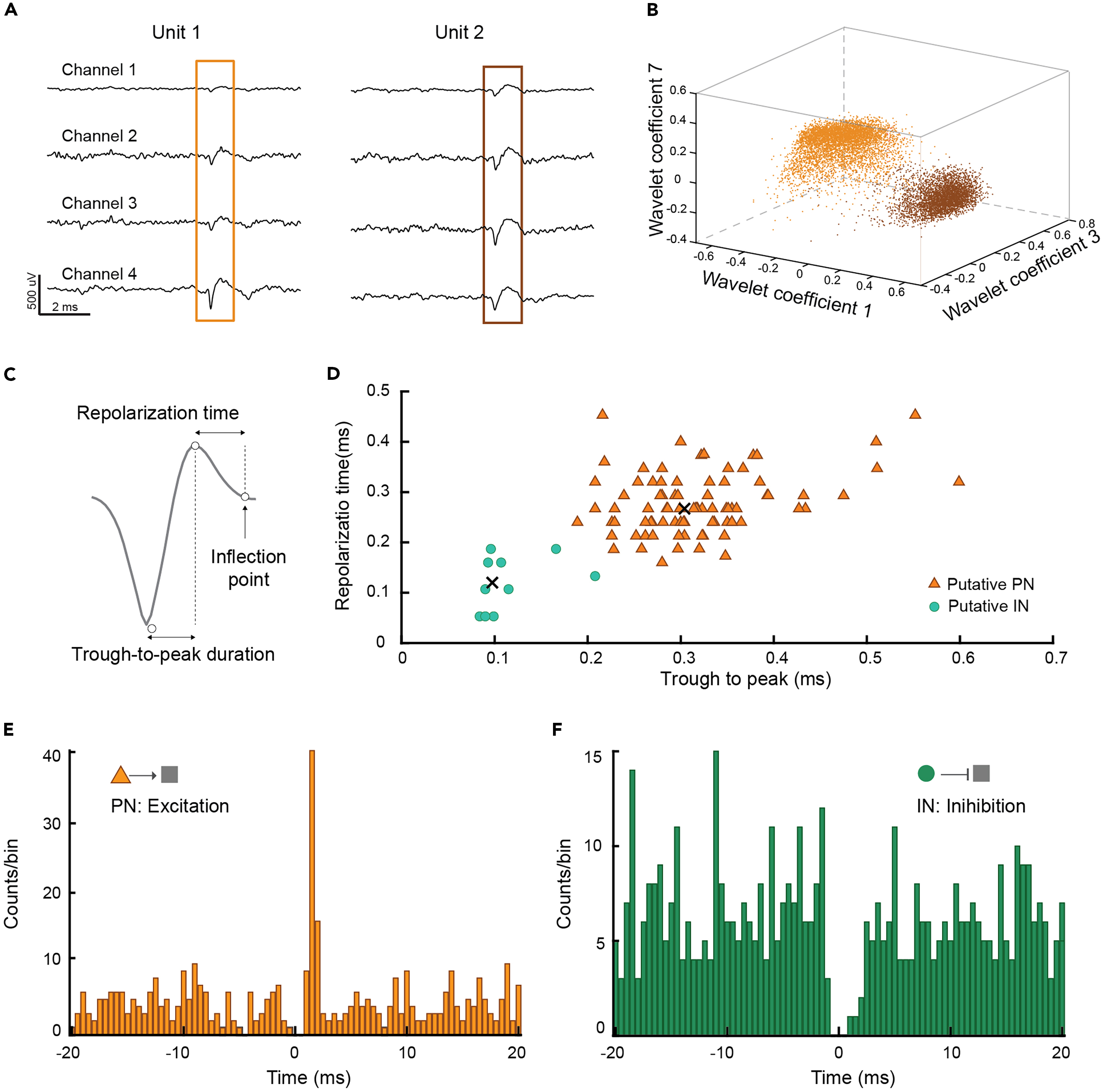 Cell Press: STAR Protocols