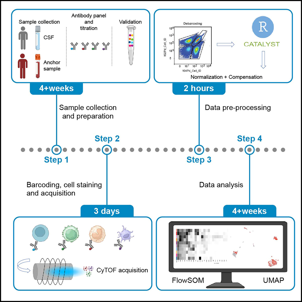 Cell Press: STAR Protocols
