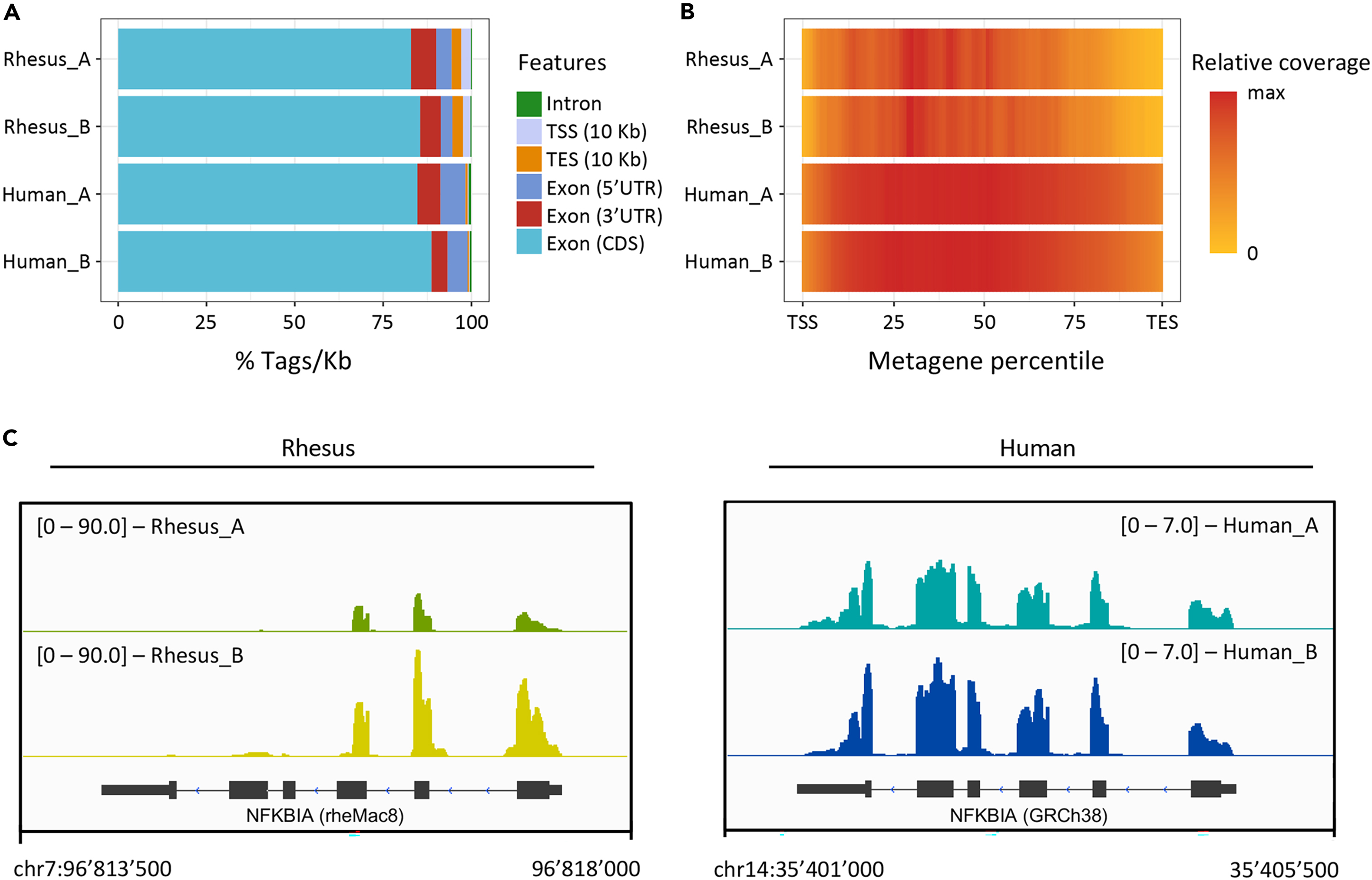 Cell Press: STAR Protocols